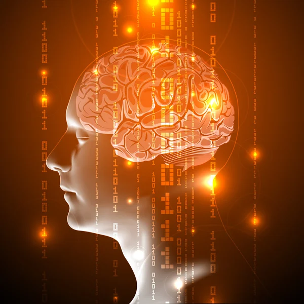 Human Brain Stock Vector Image by ©microstockmilan #54175005