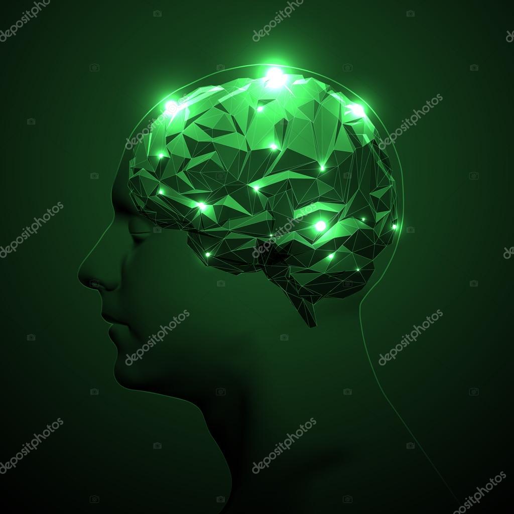 Triangular Polygons Human Brain. Stock Vector Image by ©microstockmilan ...