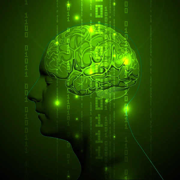 Human Brain Stock Vector by ©microstockmilan 54175005