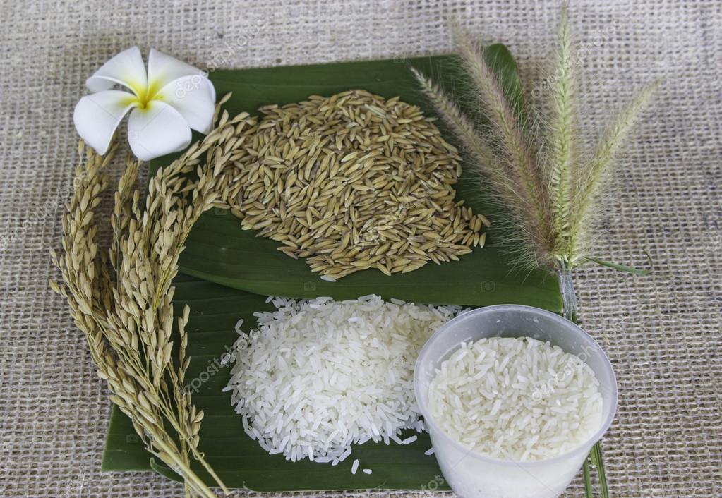 Thailand rice — Stock Photo © fordzolo #58774125