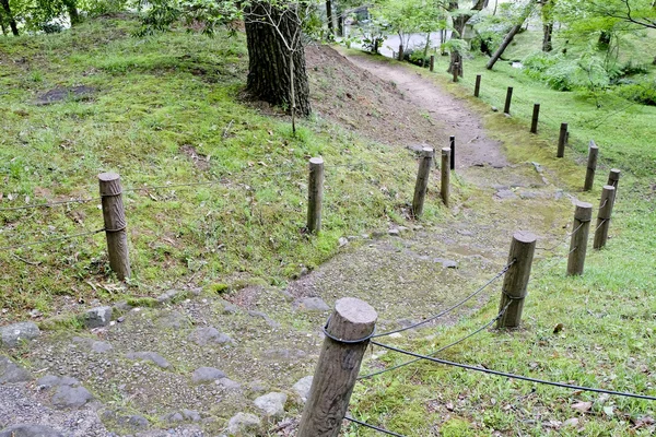 Walkway Lane Path With Green Trees in Forest. Beautiful Alley In ...