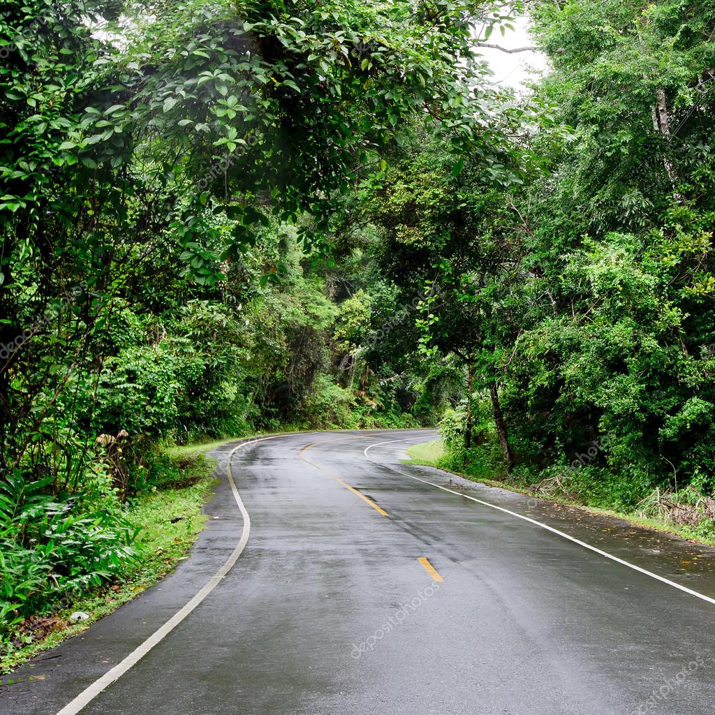 Winding Road Through a Forest — Stock Photo © art9858 #65657091