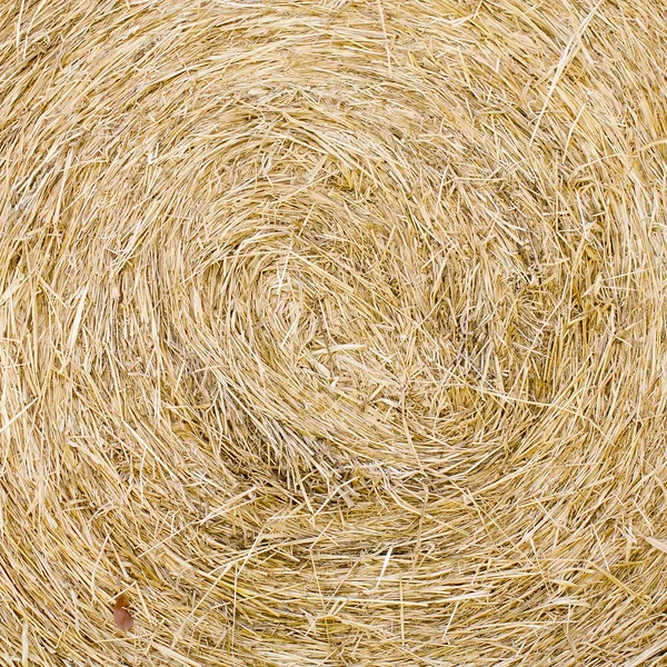 Straw bundle Stock Photos, Royalty Free Straw bundle Images | Depositphotos