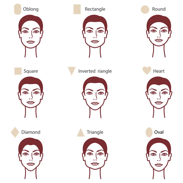 Face shapes Vector Art Stock Images | Depositphotos
