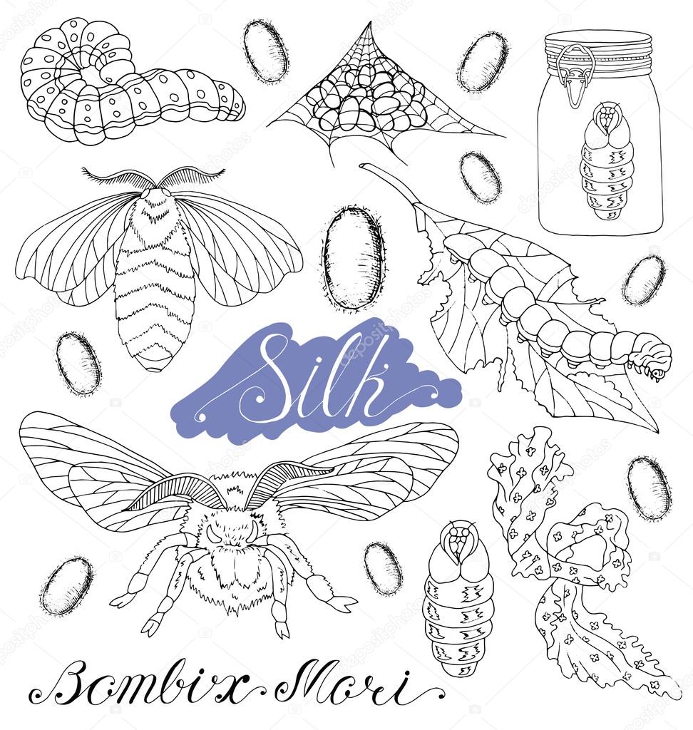 Set with silk moth and worms icons Stock Vector Image by ©Samiramay ...