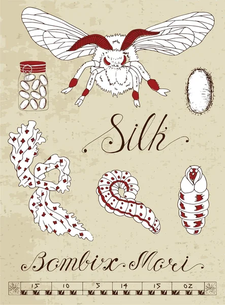 Koza Stock Vectors, Royalty Free Koza Illustrations | Depositphotos®