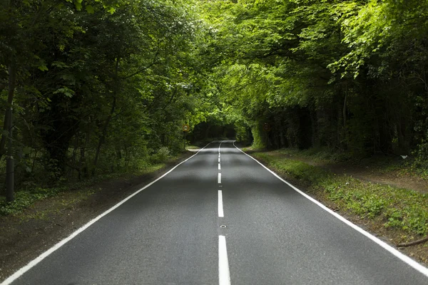 Green road Images - Search Images on Everypixel