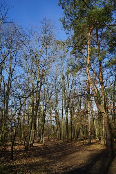 Breckland Stock Photos, Royalty Free Breckland Images | Depositphotos