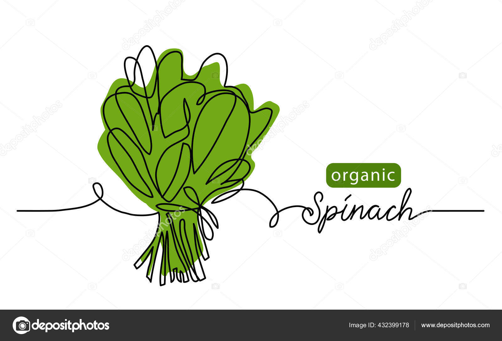 Spinach Line Drawing