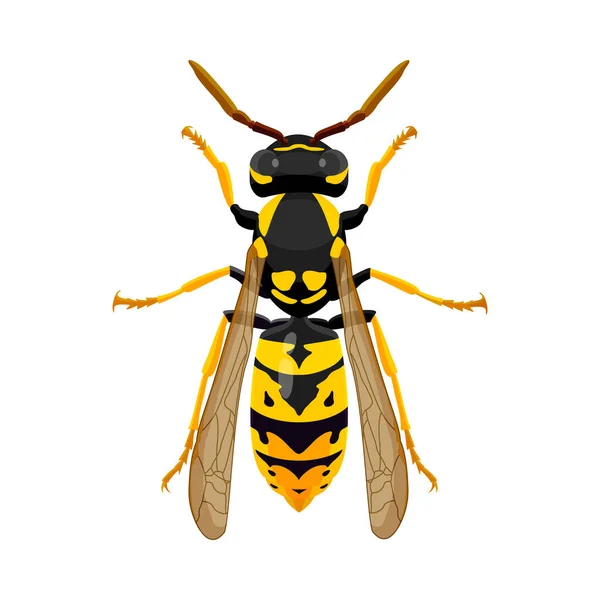 Bee stings Vector Art Stock Images | Depositphotos