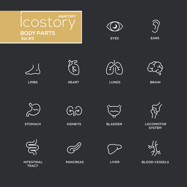 Body parts Vector Art Stock Images | Depositphotos