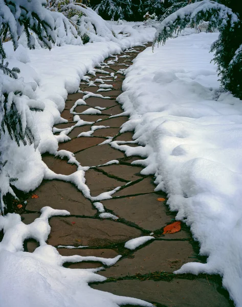 Snowy garden path Stock Photos, Royalty Free Snowy garden path Images ...