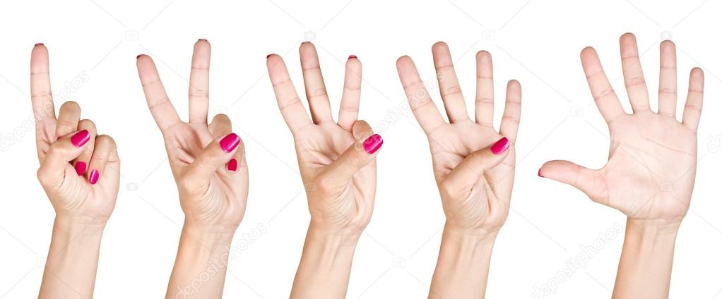 Female hands counting from one to five — Stock Photo © dekanaryas #60260055