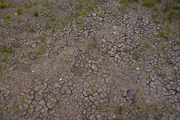 Dry soil shakes the soil with a layer of vegetation. Deficit moisture ...