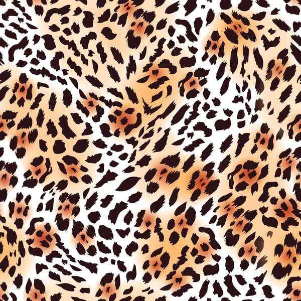 Leopard amur Vector Art Stock Images | Depositphotos