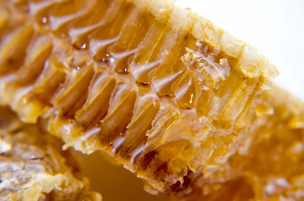 Honey under the microscope Stock Photos, Royalty Free Honey under the ...
