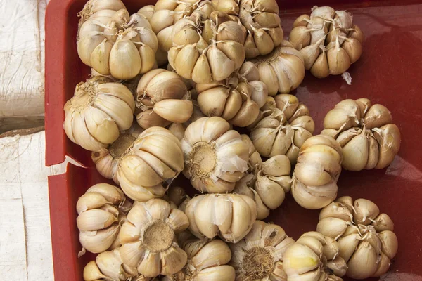 Farmers picking garlic Stock Photos, Royalty Free Farmers picking ...