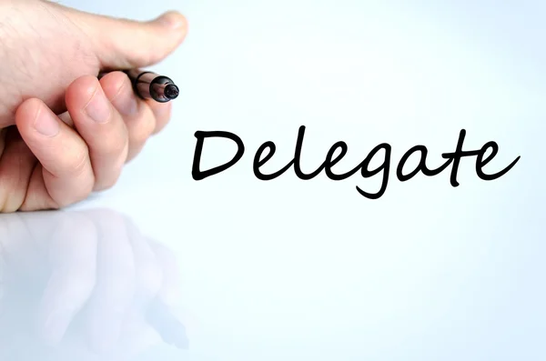 Delegation Stock Photos, Royalty Free Delegation Images | Depositphotos