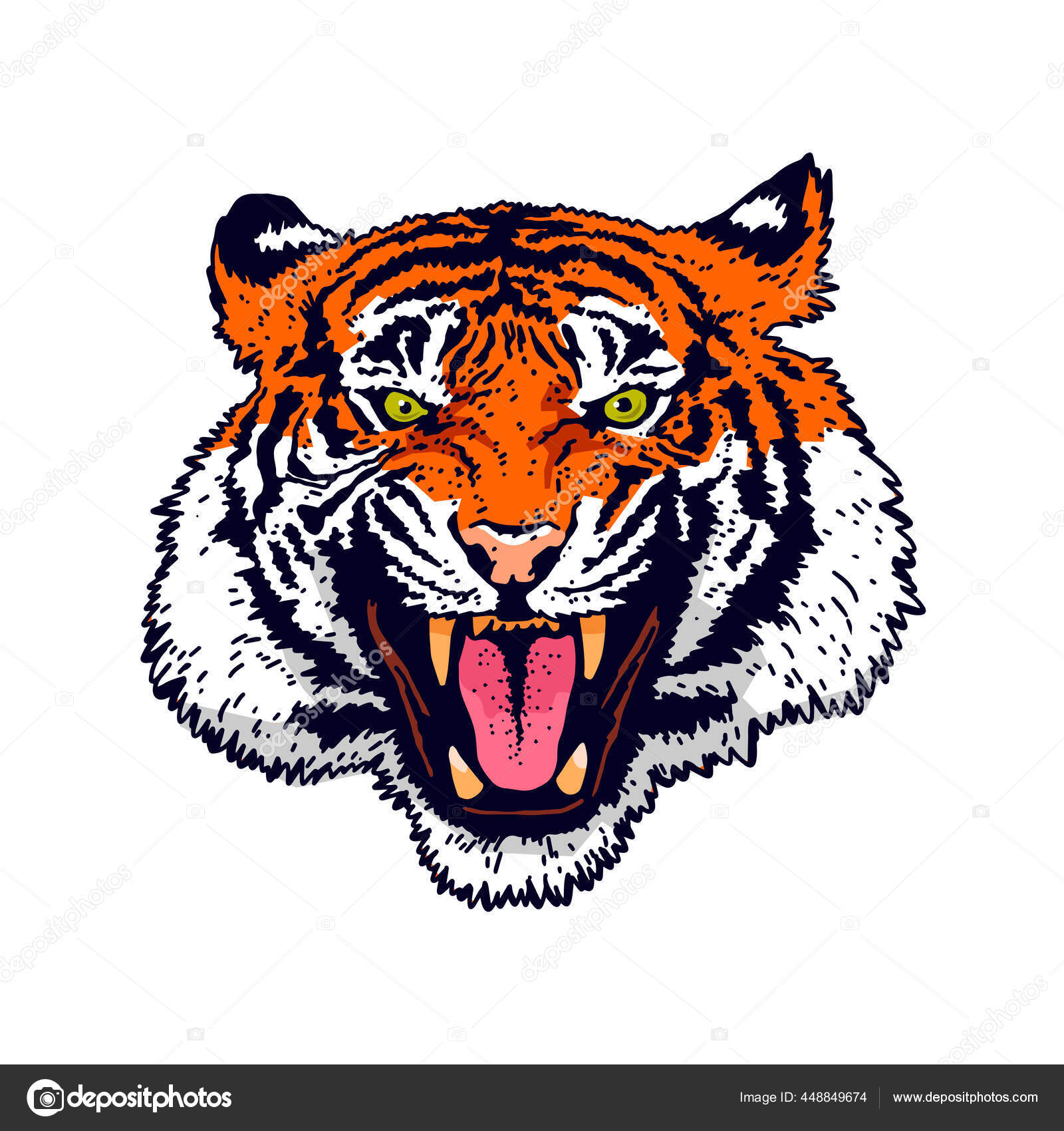 Angry Tiger Face Drawings