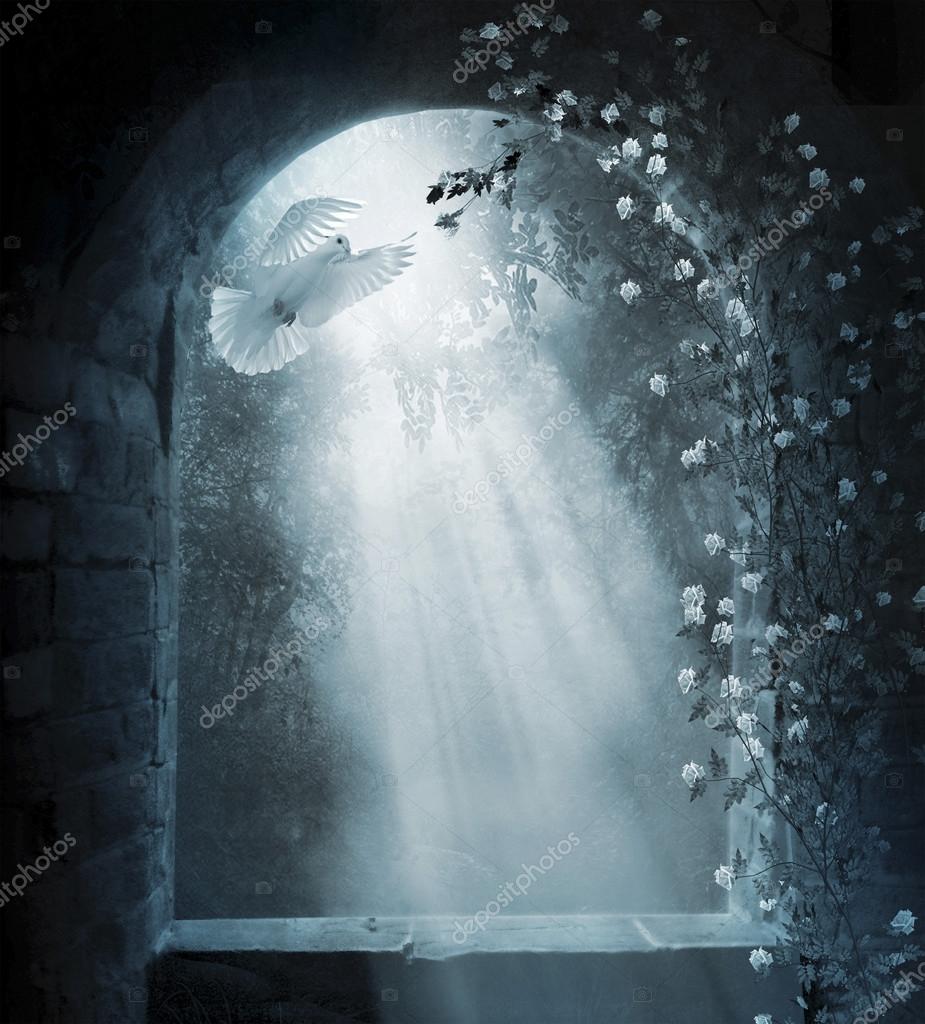 Old window at night Stock Photo by ©camilabo 120995938
