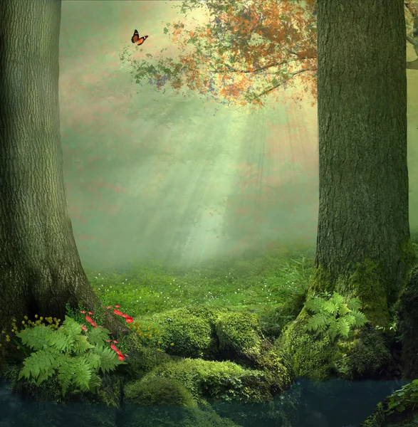 Enchanted forest - Stock Image - Everypixel