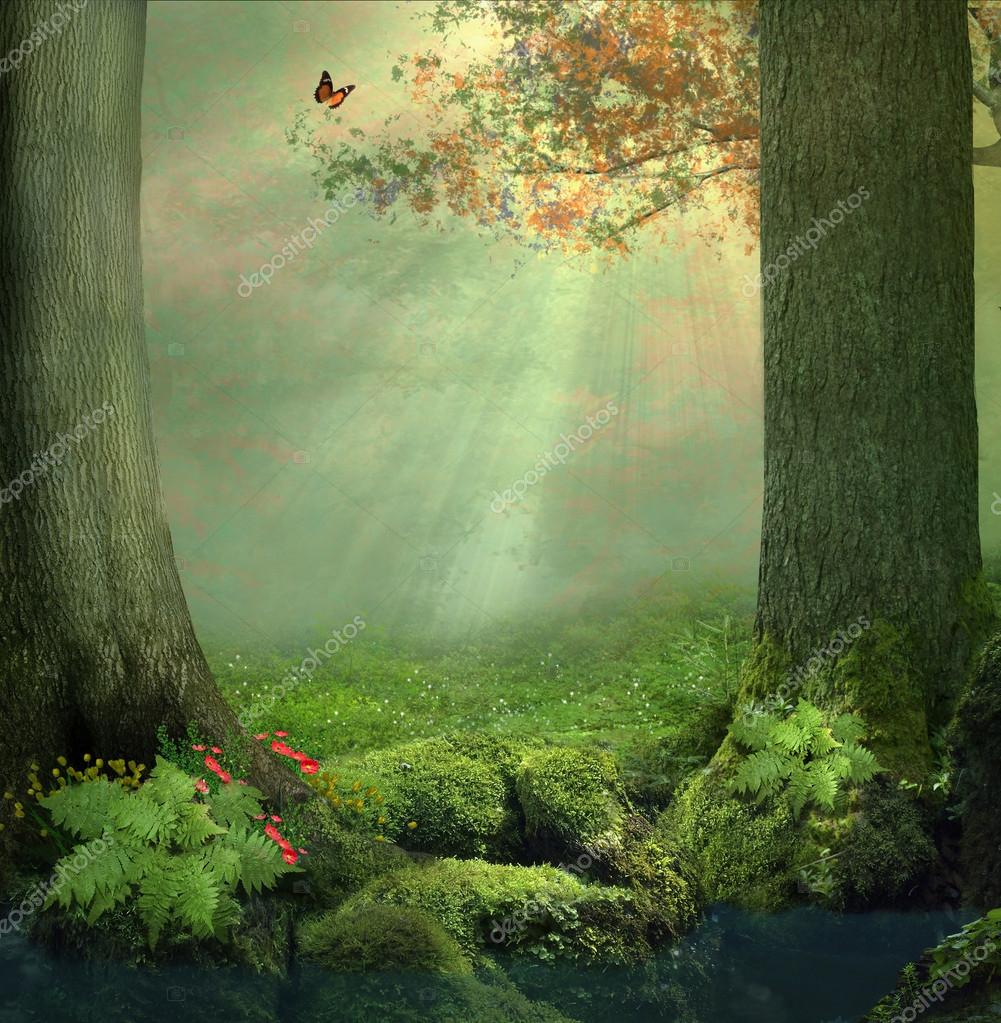 Enchanted Forest Stock