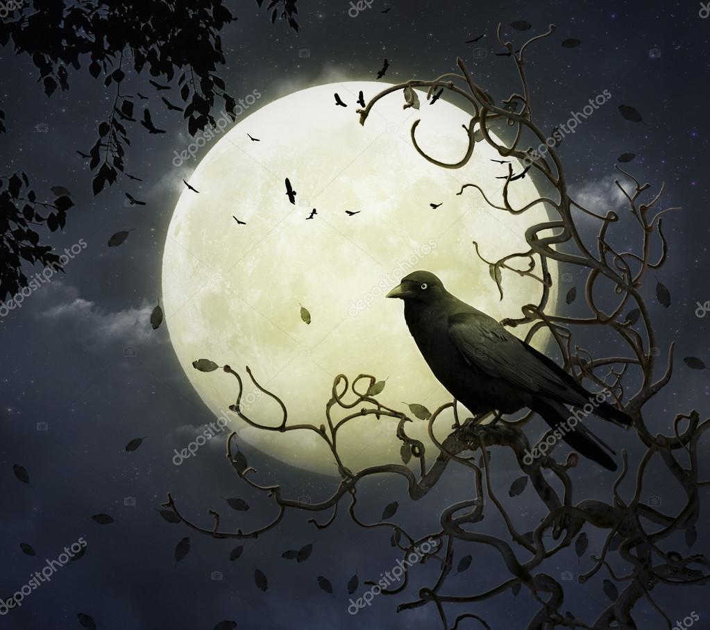 Crow and moon Stock Photo by ©camilabo 69438597