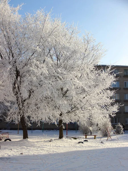 Sherbrooke Stock Photos, Royalty Free Sherbrooke Images | Depositphotos