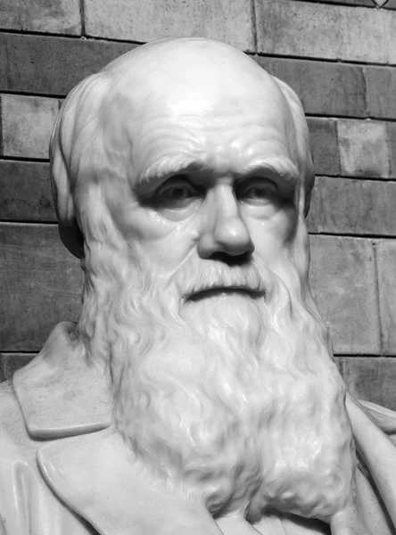 Charles darwin | Statue of Charles Darwin — Stock Photo © 1000Words ...