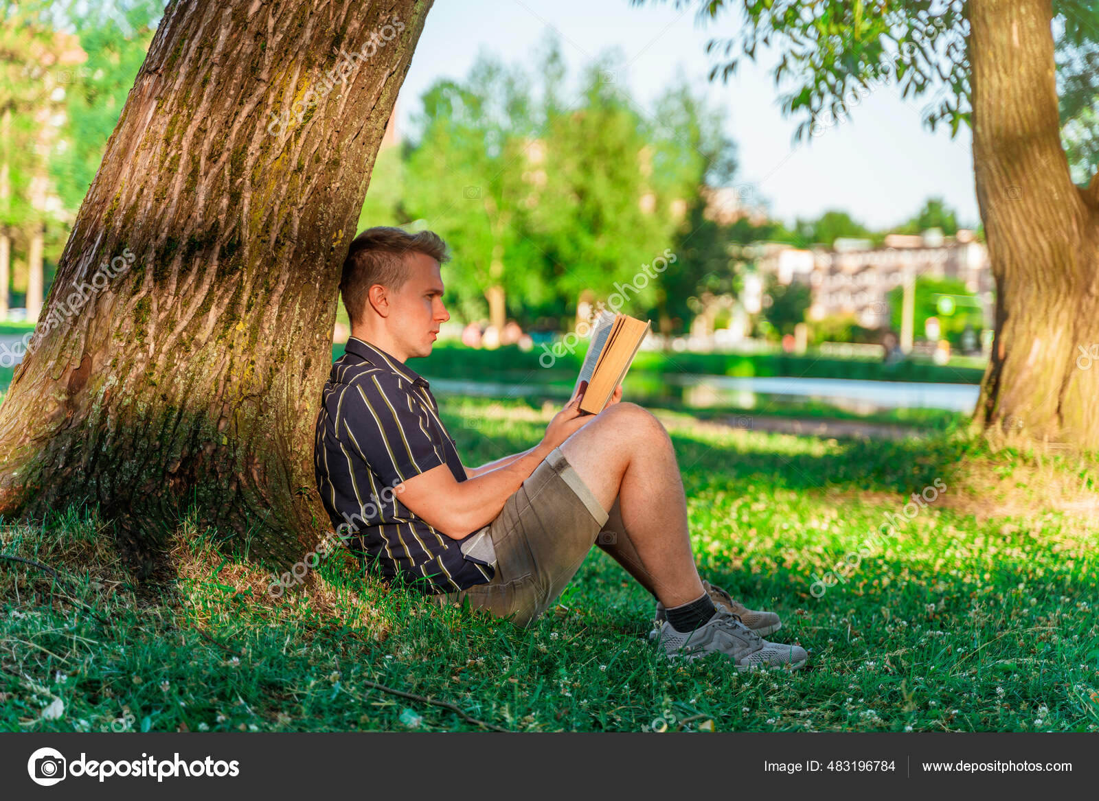 Person Reading A Book Under A Tree