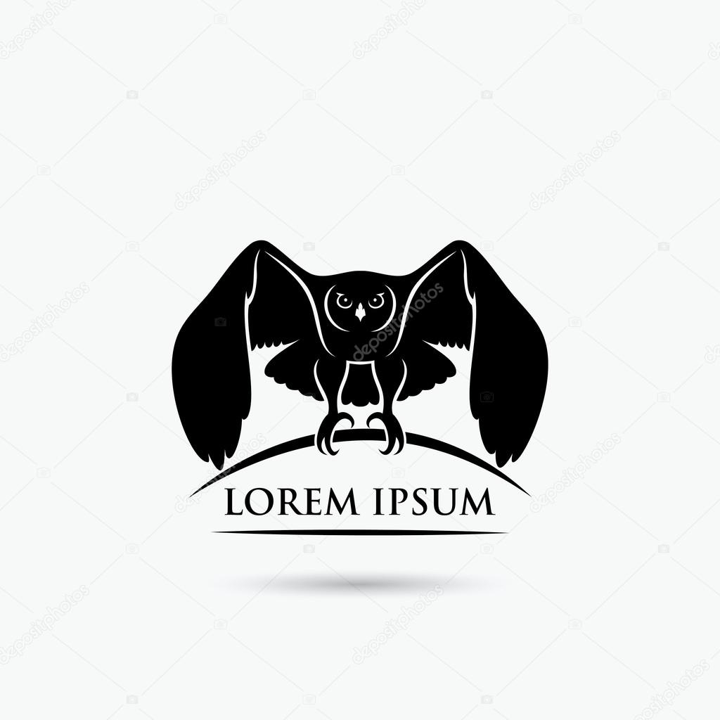 Flying owl symbol — Stock Vector © I.Petrovic #118511024