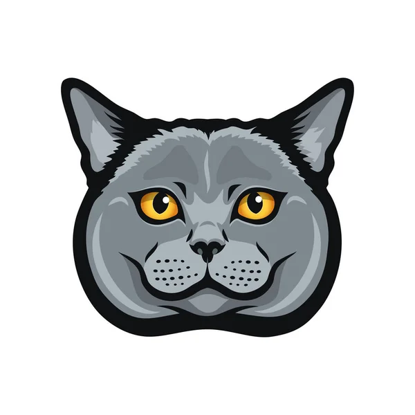 British shorthair Vector Art Stock Images | Depositphotos