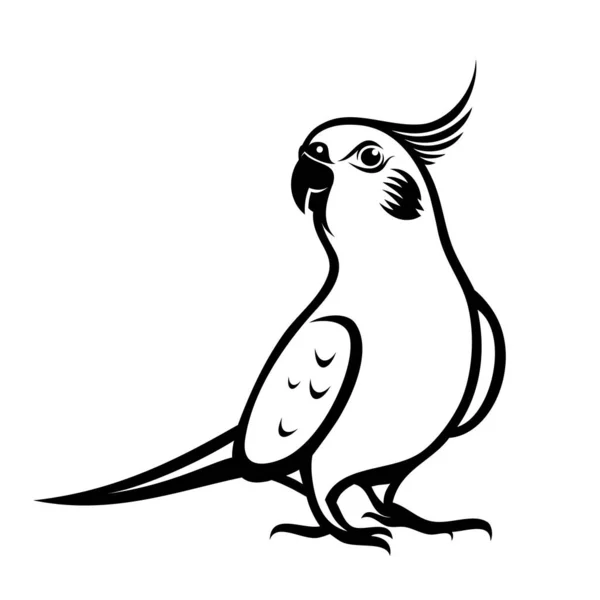 390 Cockatiel Vector Images | Depositphotos