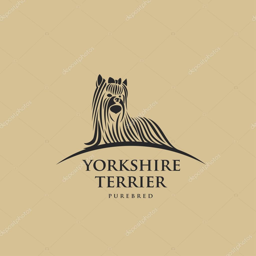 Logo Design Yorkshire