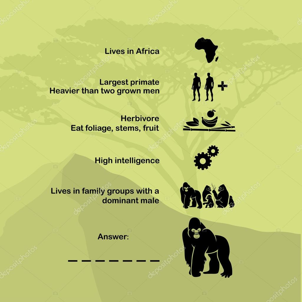 Gorilla animal infographics ⬇ Vector Image by © I.Petrovic | Vector ...