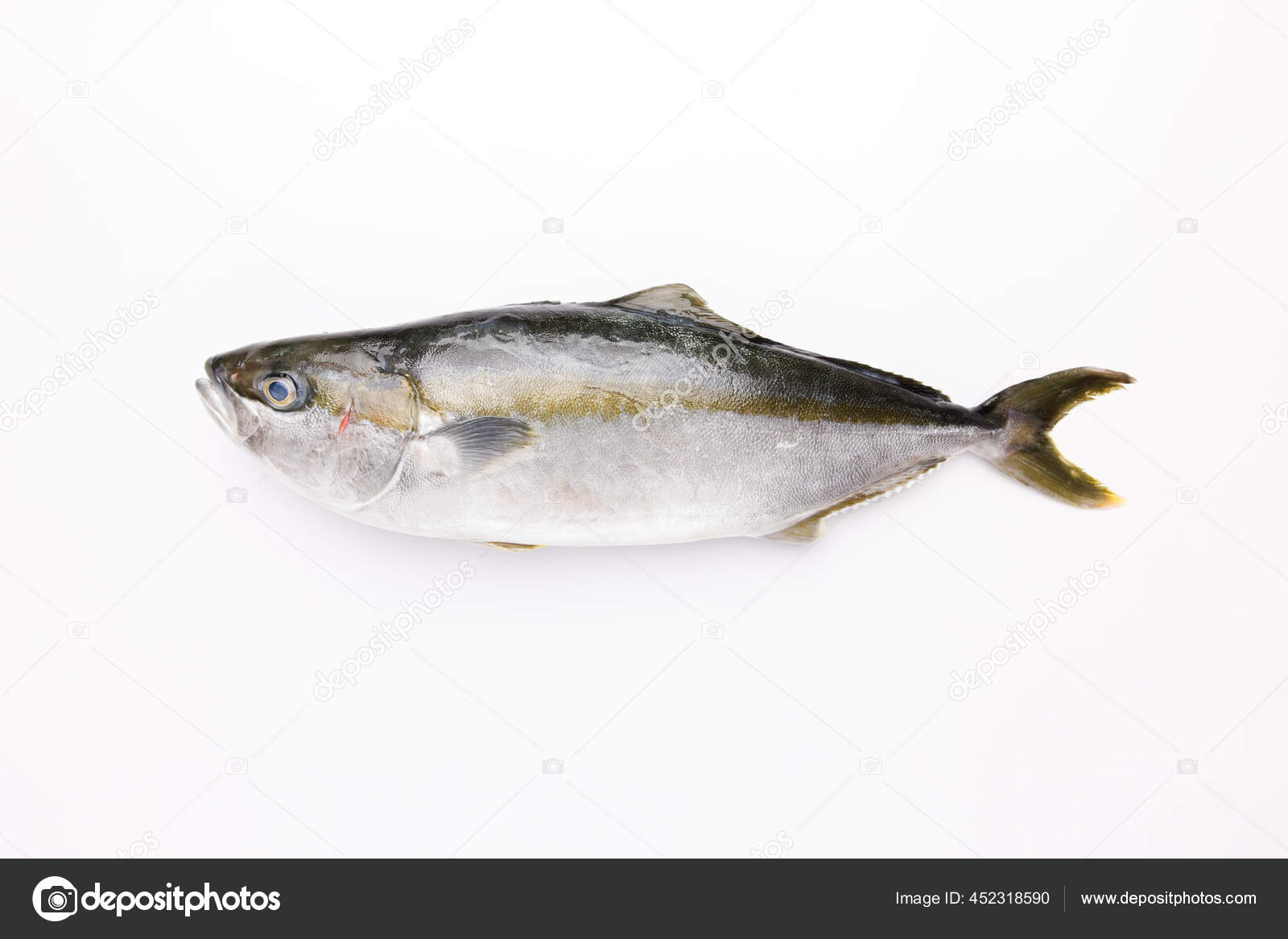 Raw Sea Fish Isolated White Background — Stock Photo © vi__sok #452318590