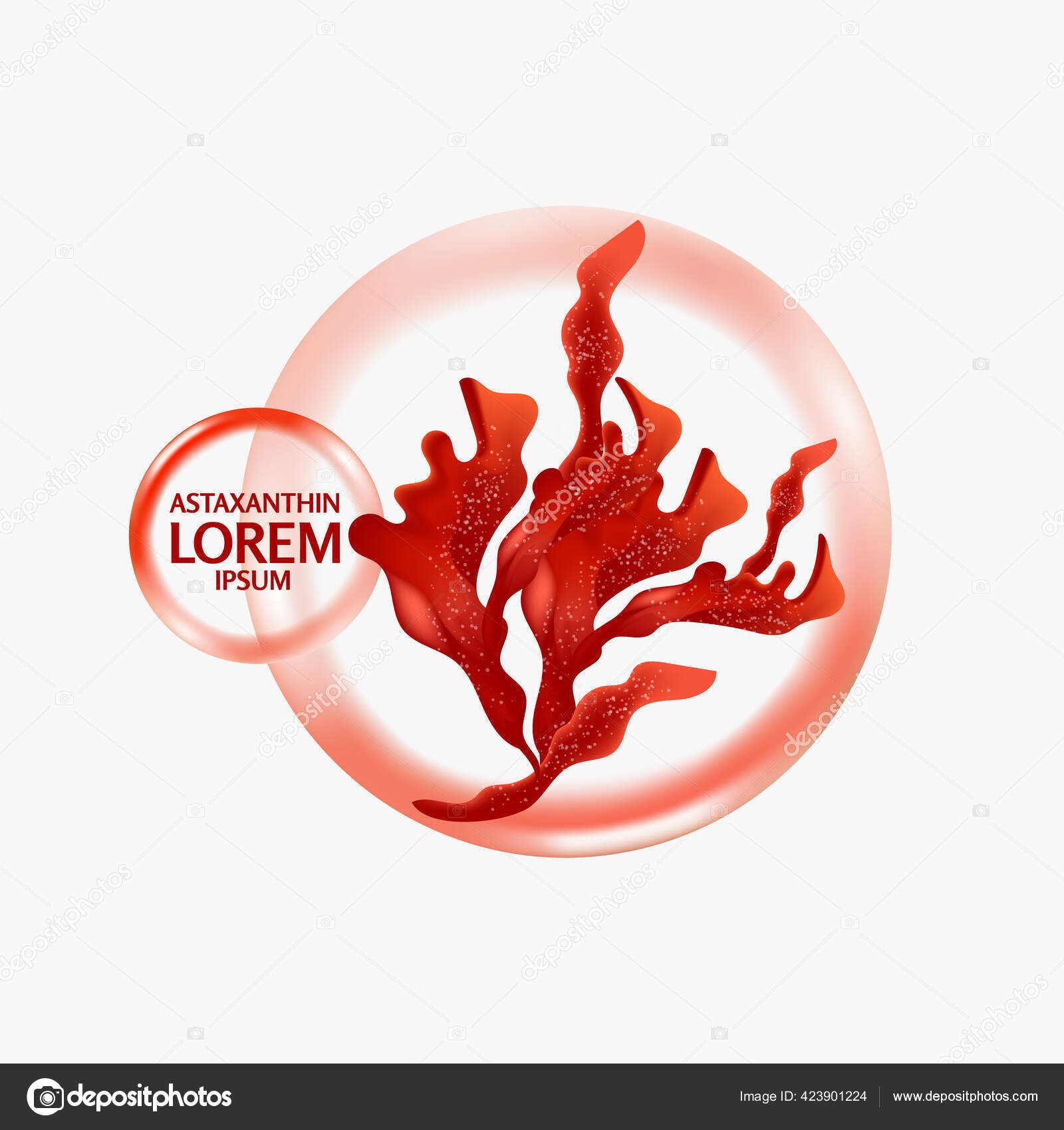 Health Benefits Astaxanthin Vector Illustration Stock Vector by ...