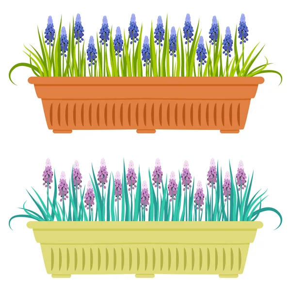 Flower Planter Clipart