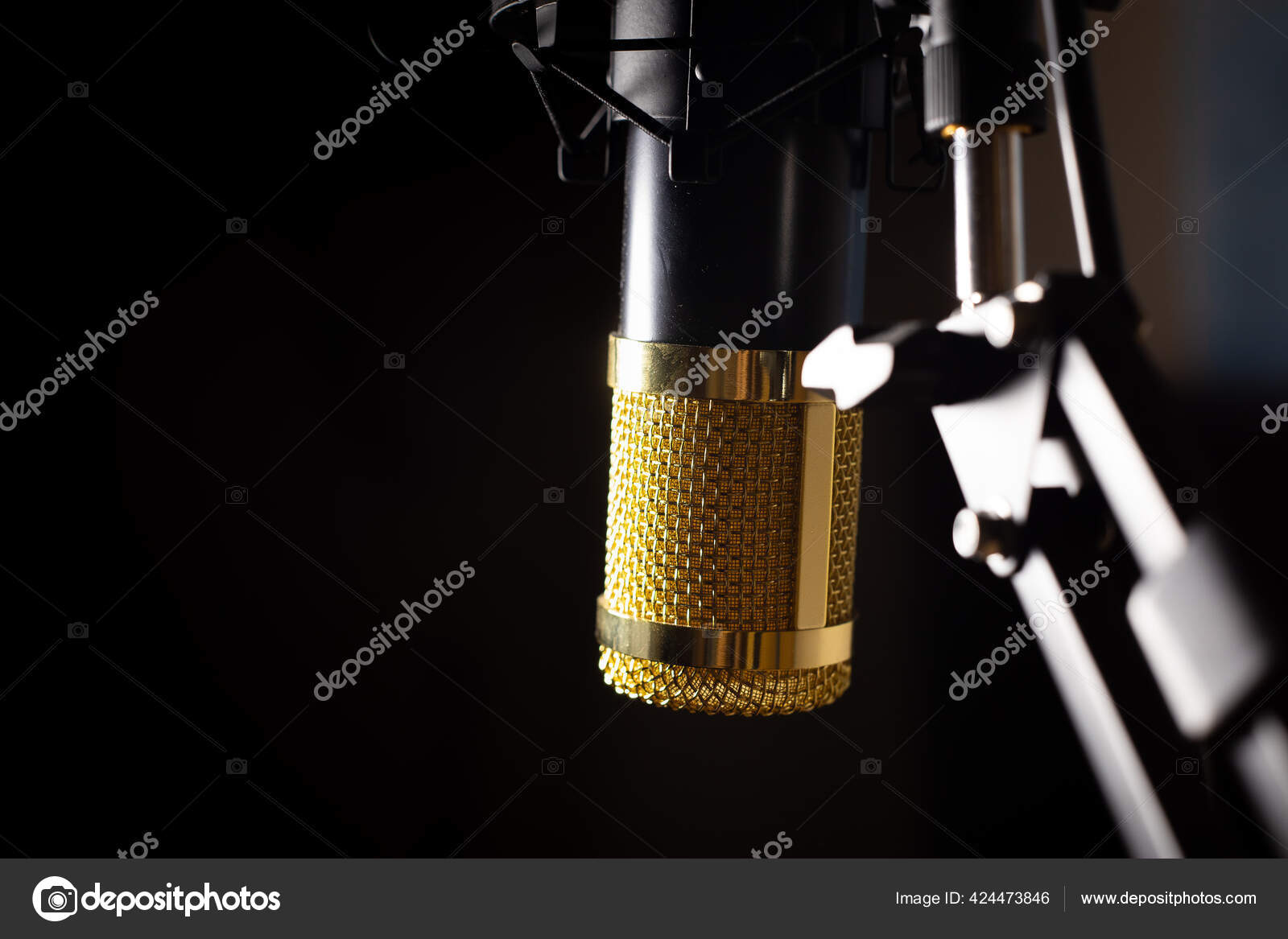 Gold Recording Studio Microphone