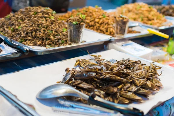 A range of deep fried insects for sale including grasshoppers and ...