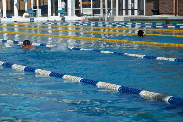 Fleet swimming Stock Photos, Royalty Free Fleet swimming Images ...