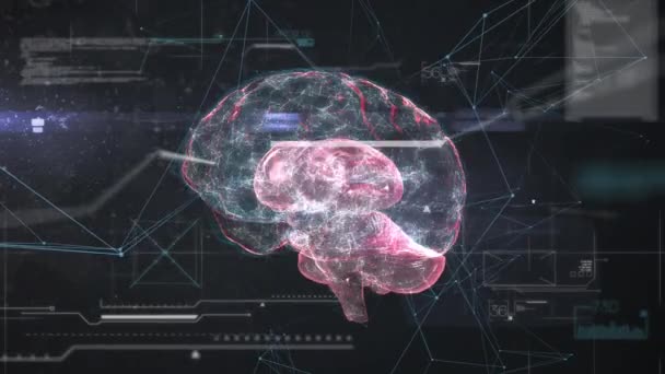 15,703 Human brain Videos, Royalty-free Stock Human brain Footage | Depositphotos