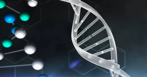 เกี่ยวกับ transgenic Stock Photos, Royalty Free เกี่ยวกับ transgenic ...