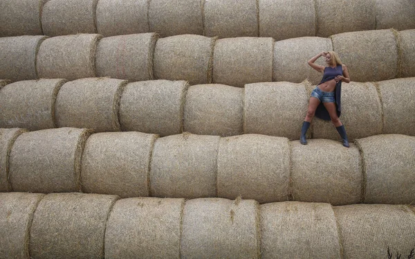 Hay picker Stock Photos, Royalty Free Hay picker Images | Depositphotos