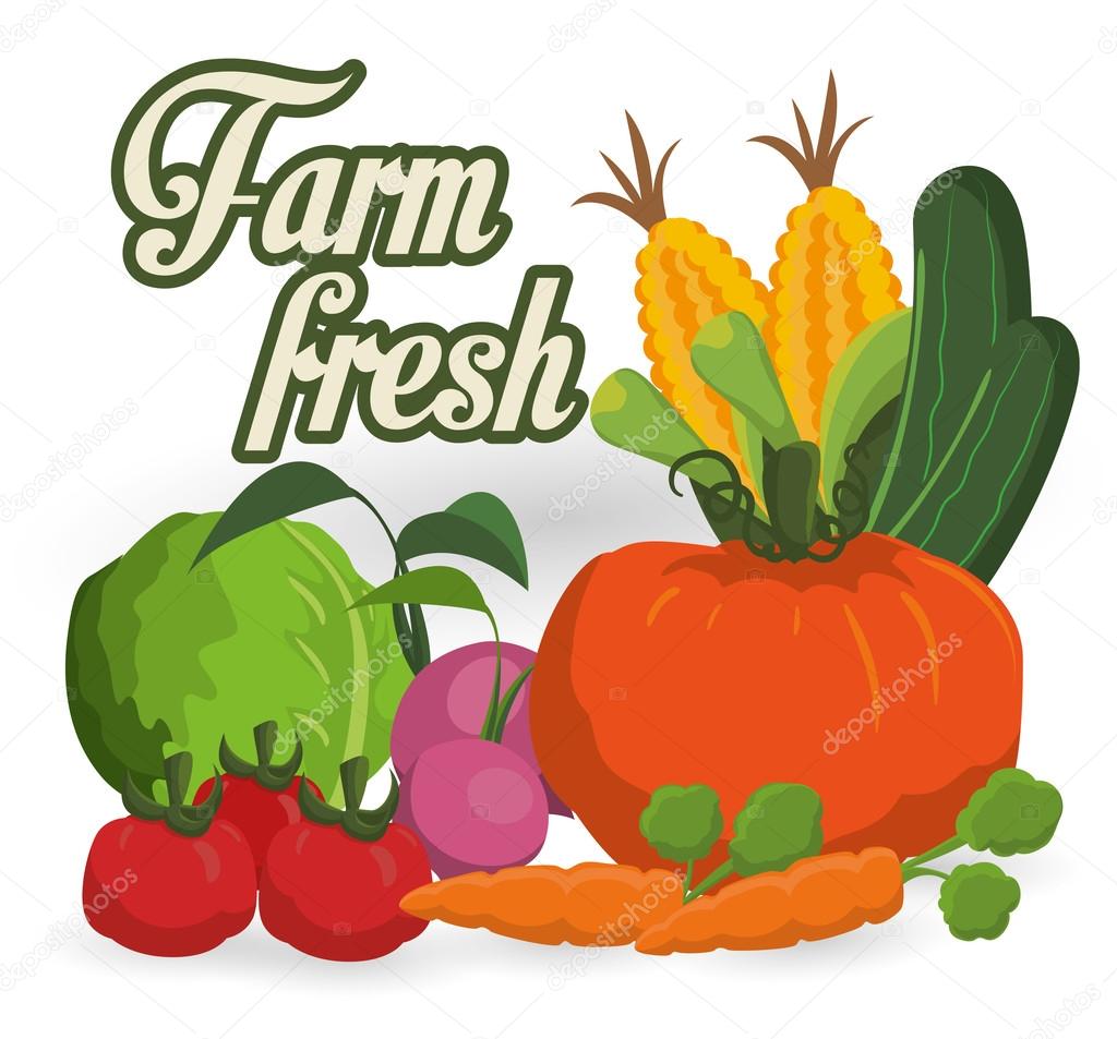 Farm fresh Stock Vector Image by ©djv #65122063