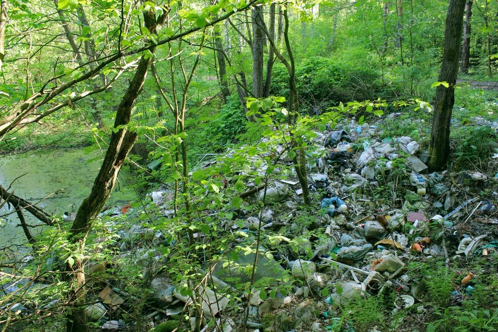 Basura en el bosque: fotografía de stock © antonvasiliev #80421832 ...