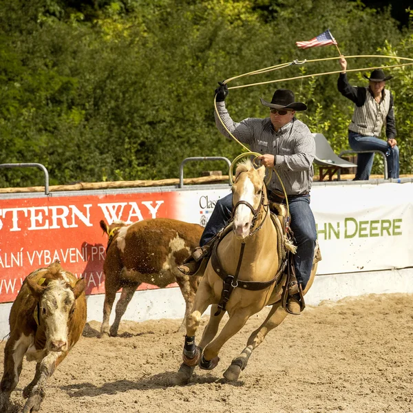 Rodeo competition in ranch roping – Stock Editorial Photo © foto.lenpri ...
