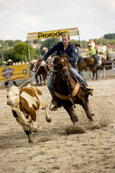 ᐈ Breakaway roping silhouette stock photos, Royalty Free roping images ...