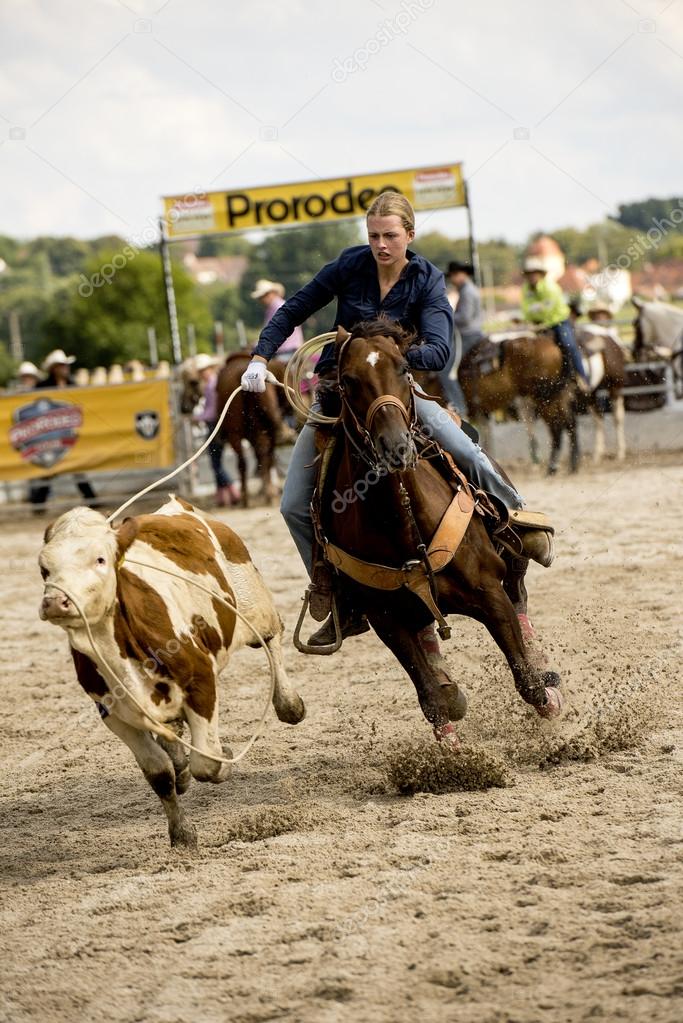 Rodeo competition in ranch roping — Stock Editorial Photo © foto.lenpri ...
