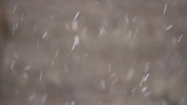 4,733 vídeos de Antarctic pole, metraje de Antarctic pole sin royalties ...